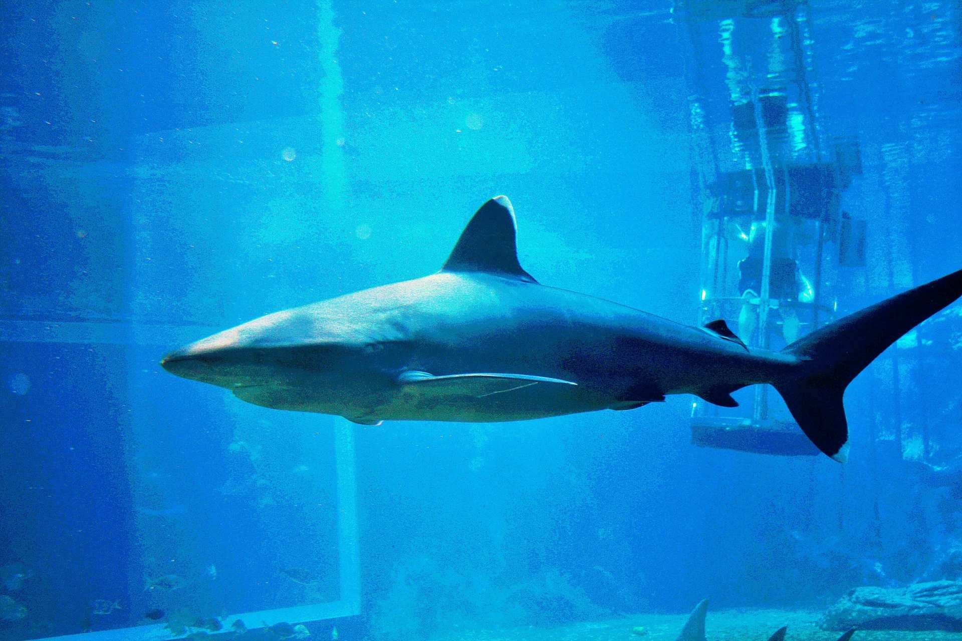 10 Activities to Enjoy for a Fun Vacation in Dubai