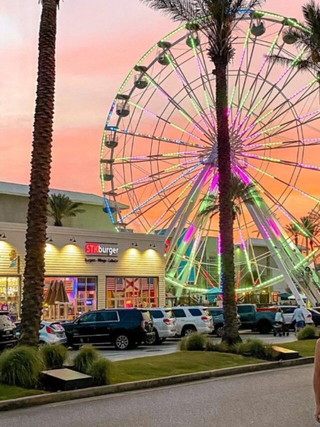 15 Best & Fun Things To Do In Gulf Shores (Alabama) - 𝗧𝗼𝘂𝗿𝗬𝗮𝘁𝗿𝗮𝘀 15 Best & Fun Things To Do In Gulf Shores (Alabama) - 𝗧𝗼𝘂𝗿𝗬𝗮𝘁𝗿𝗮𝘀
