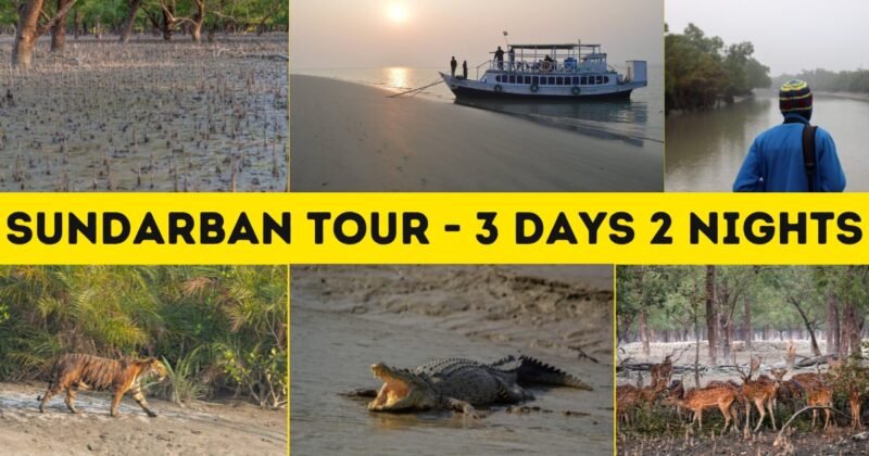 How to reach Sundarban National Park from Kolkata? (2024)
